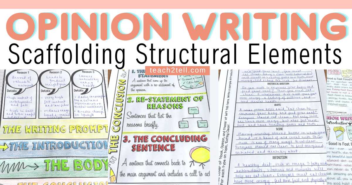 Elements of a Strong Opinion Essay Explained