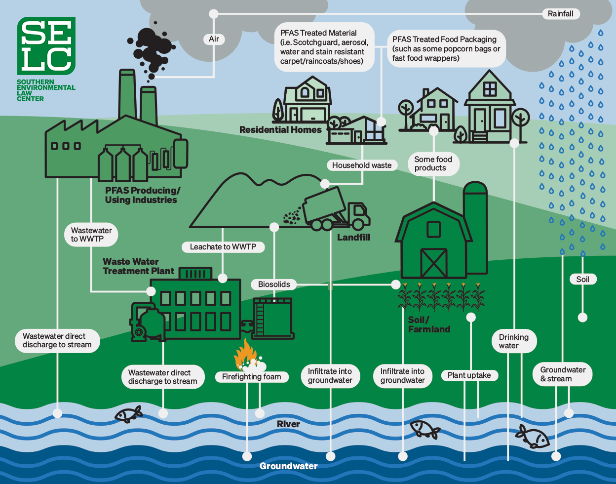 Examples of Chemical Water Pollutants You Should Know