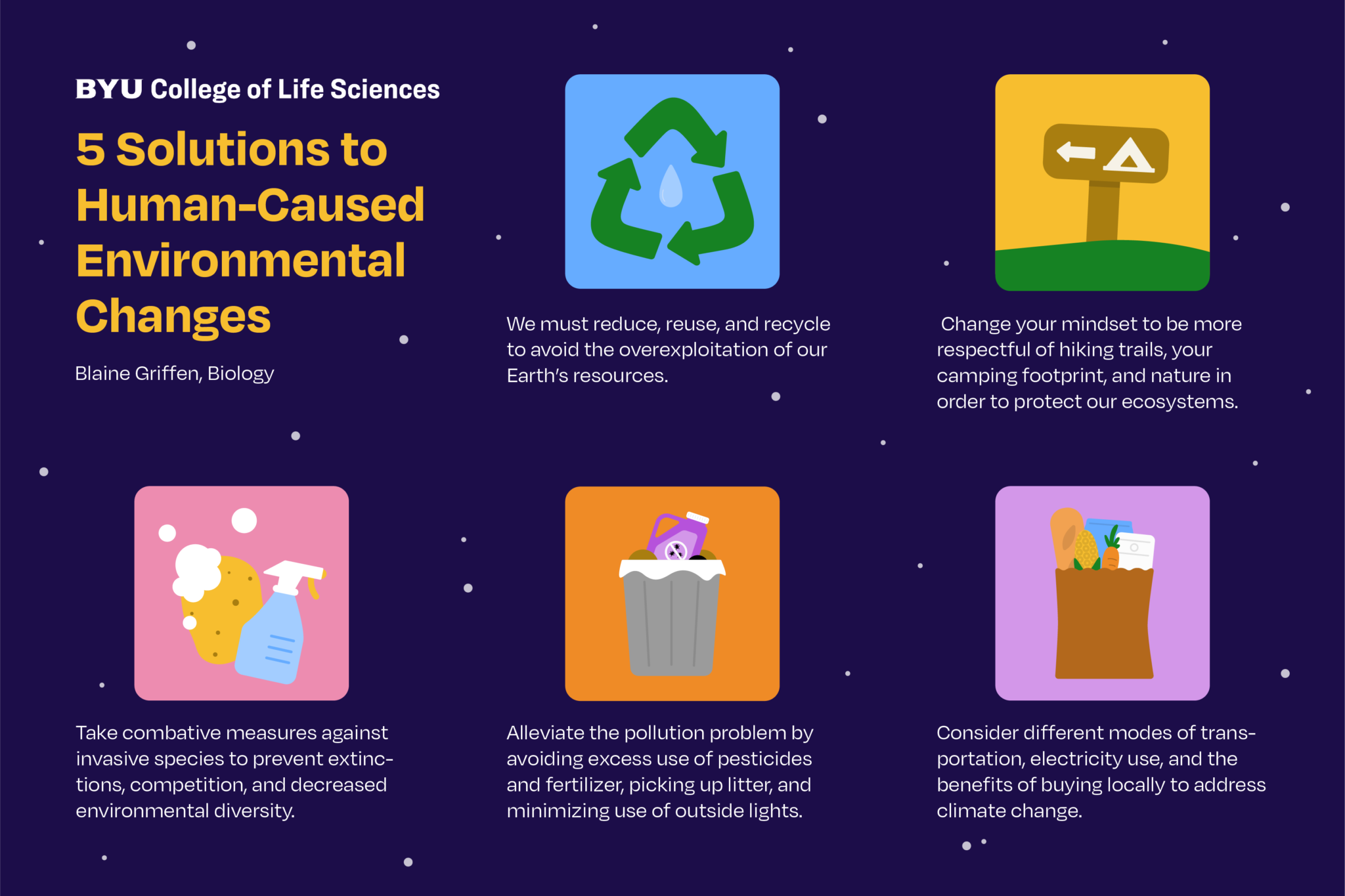 Examples of Human Impact on the Environment: Key Scenarios