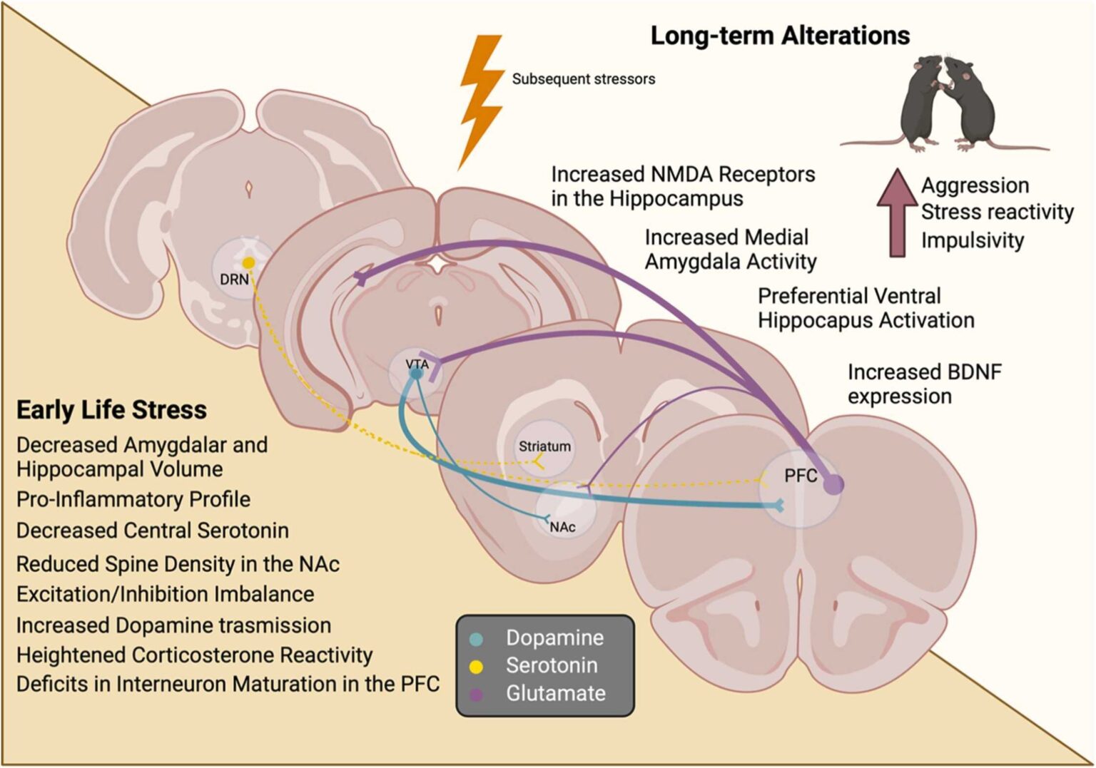 Examples of Maladaptive Behavior and Their Impact on Life
