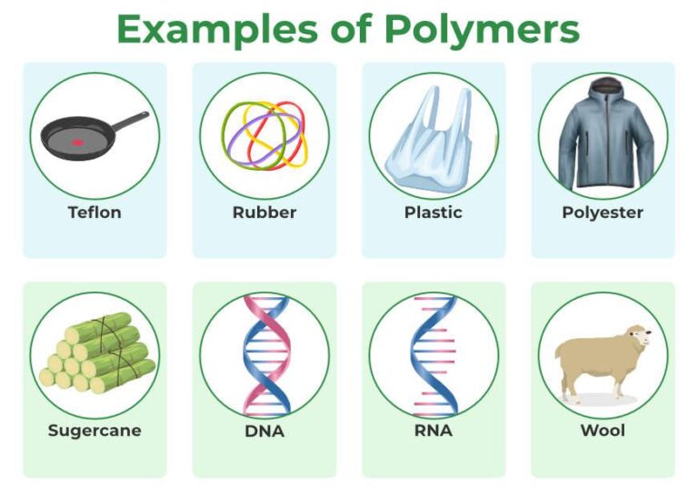 Examples of Polymers and Their Unique Properties