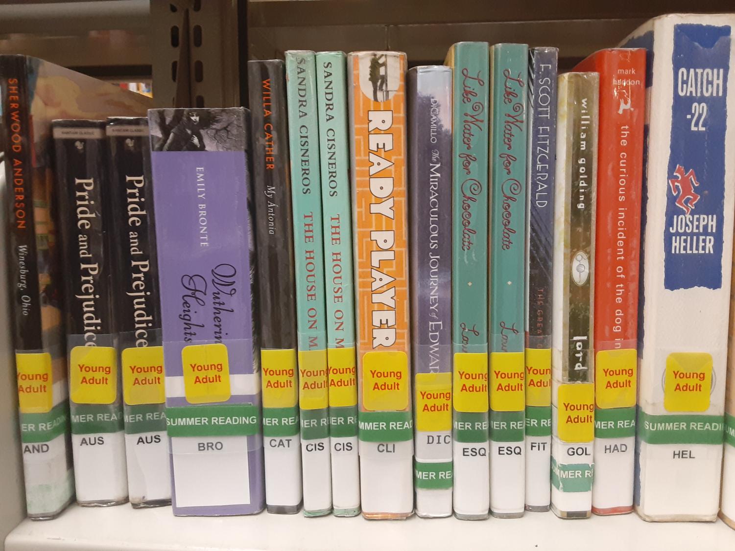 Examples of the Literary Canon: Key Texts and Voices