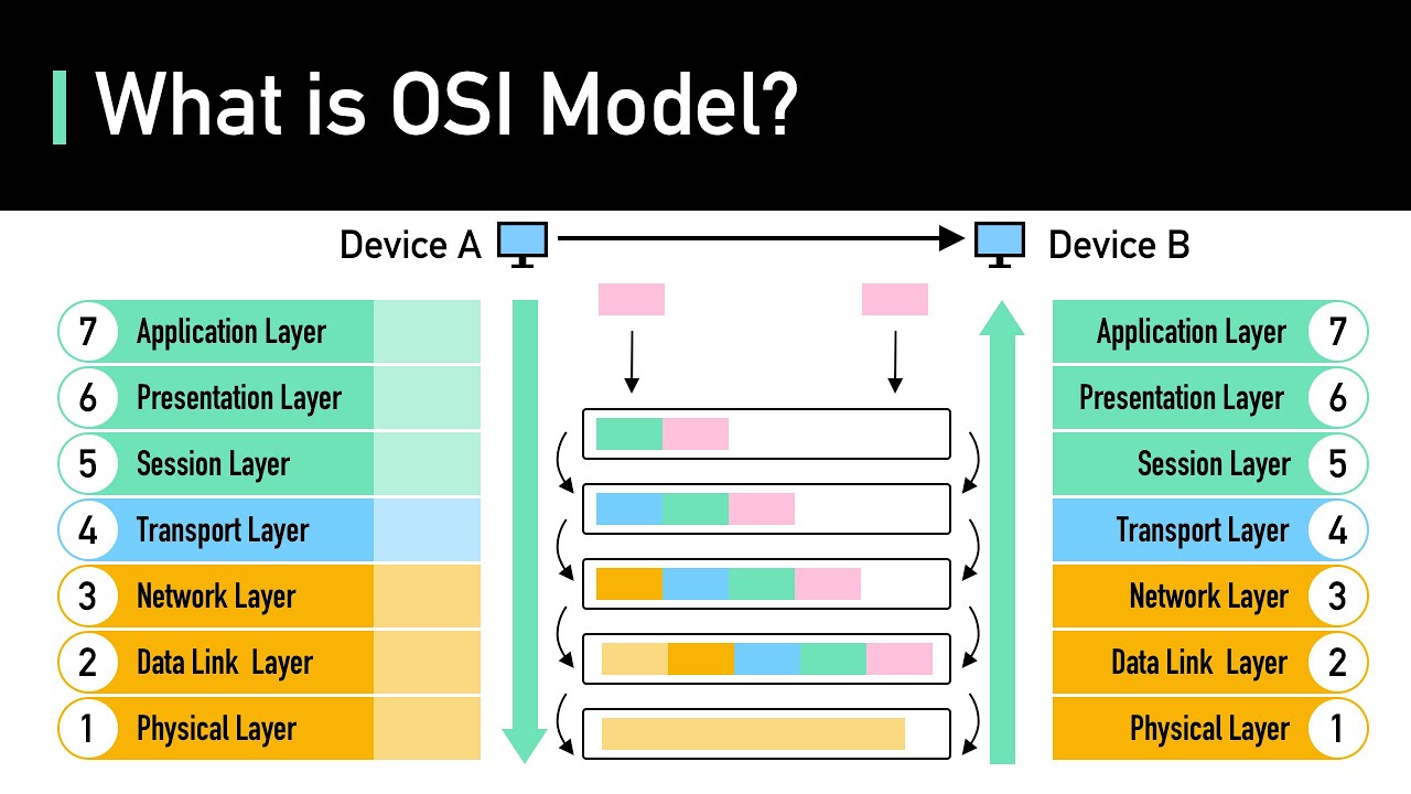 Examples of the OSI Model in Networking Explained