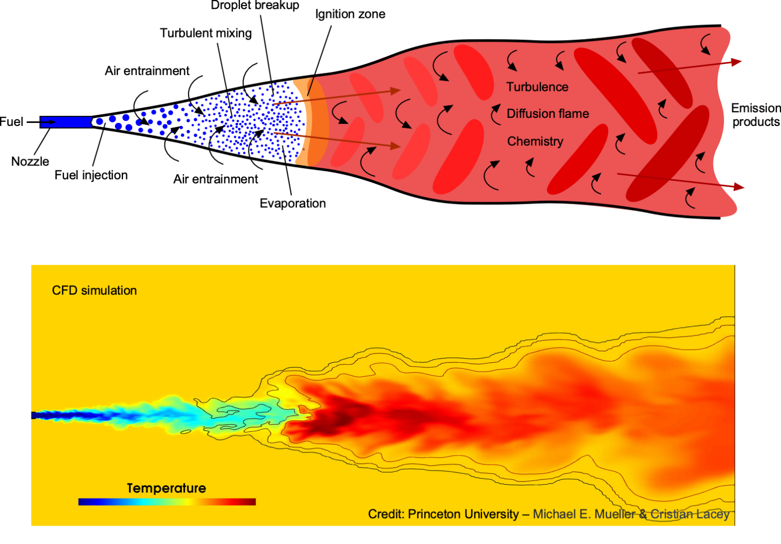 Examples of Turbulent Flow in Nature and Engineering