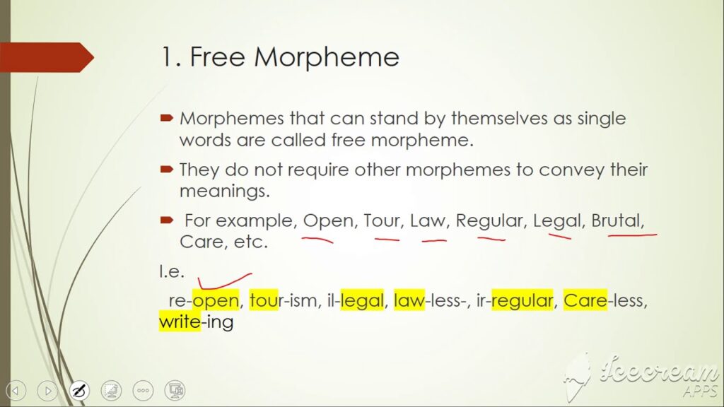 Examples of Types of Morphemes: Free and Bound Explained