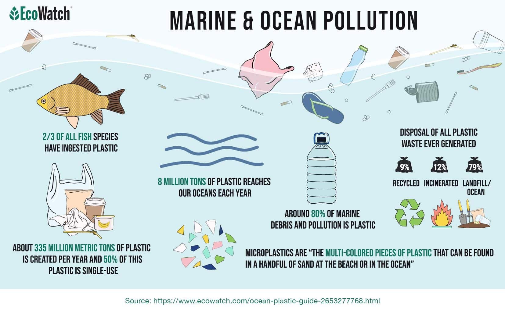 Examples of Types of Ocean Pollution Impacting Marine Life