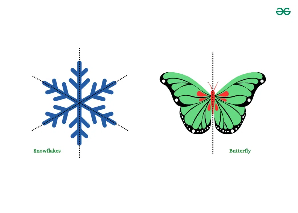 Examples of Types of Symmetry in Nature and Art