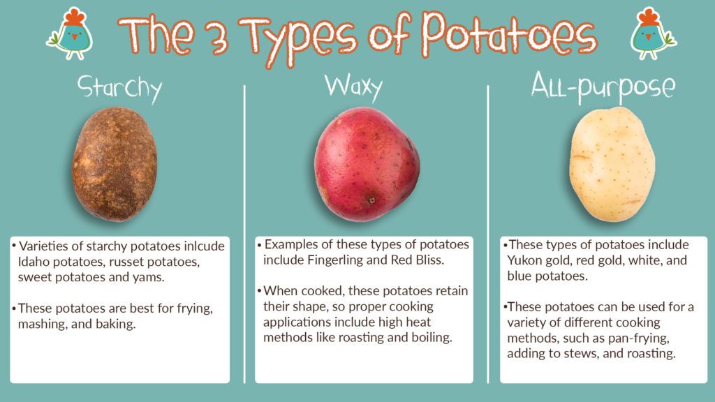 Examples of Which Potatoes Are Waxy for Your Recipes