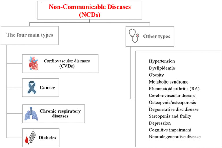 Non-Communicable Diseases: Key Examples Explained