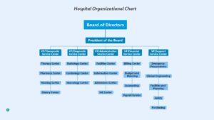 Nursing Committees in Hospitals: Key Examples and Roles