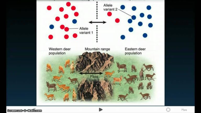 Select All the Examples of Nonrandom Mating Explained