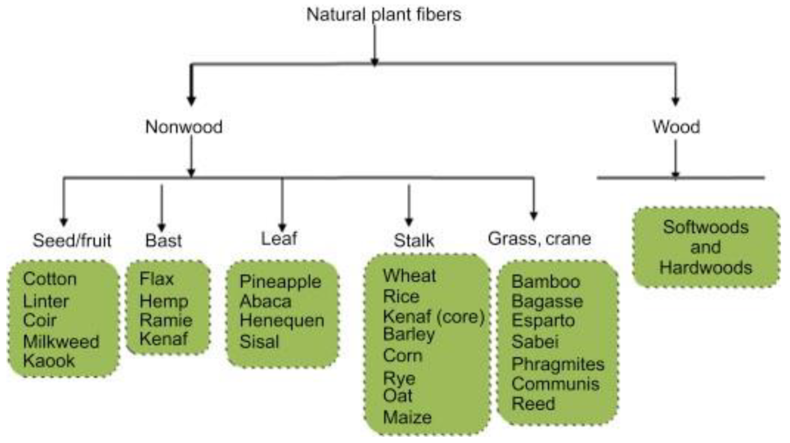 What Is the Most Common Natural Fiber? Key Examples Explained
